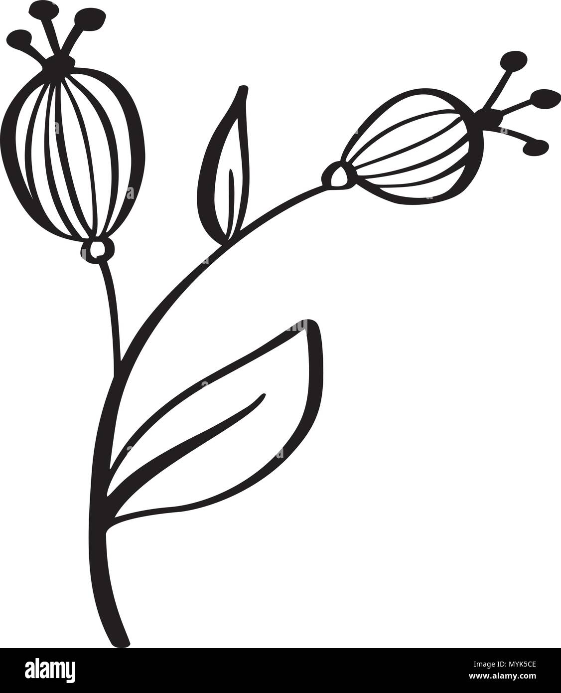 Hand drawn modern flowers drawing and sketch floral with line-art ...