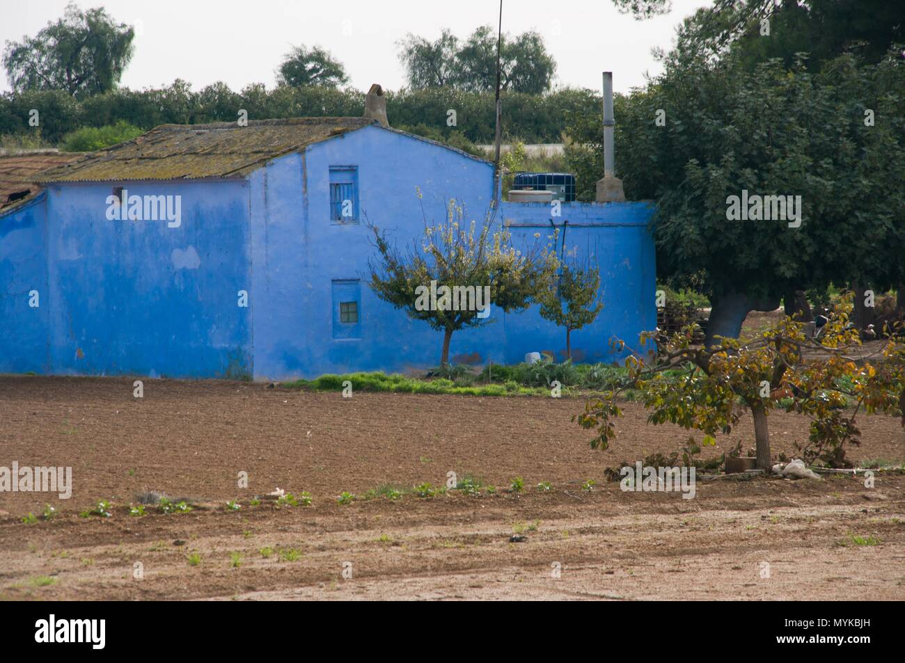 Blue country house in the middle of green vegetation Stock Photo - Alamy