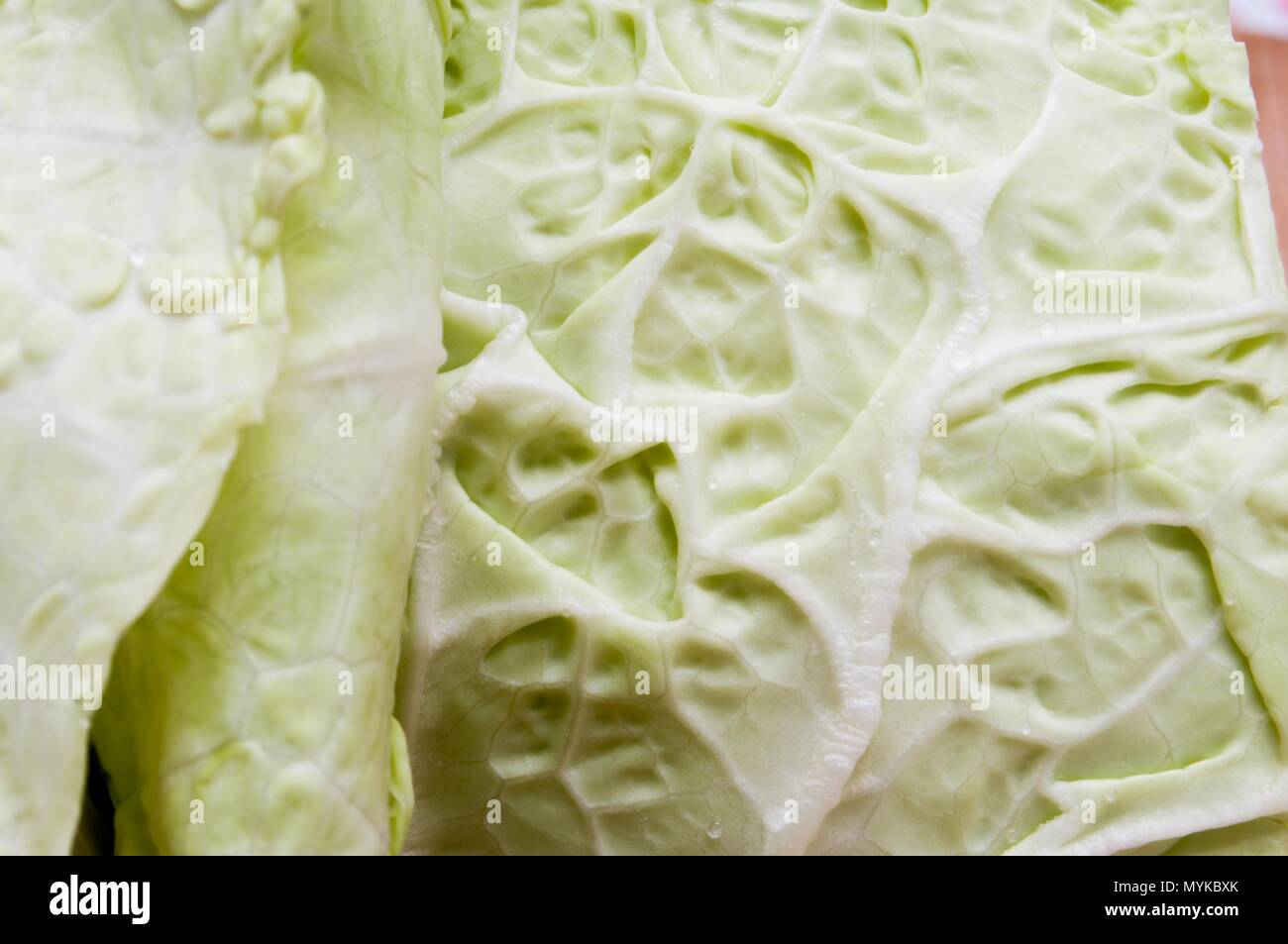 Leaves of cabbage opened prepared to be cut Stock Photo - Alamy