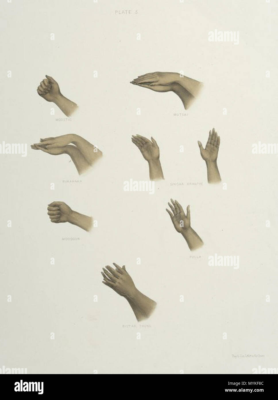 . English: Image Title: Mudras. Creator: Day & Son -- Lithographer ...