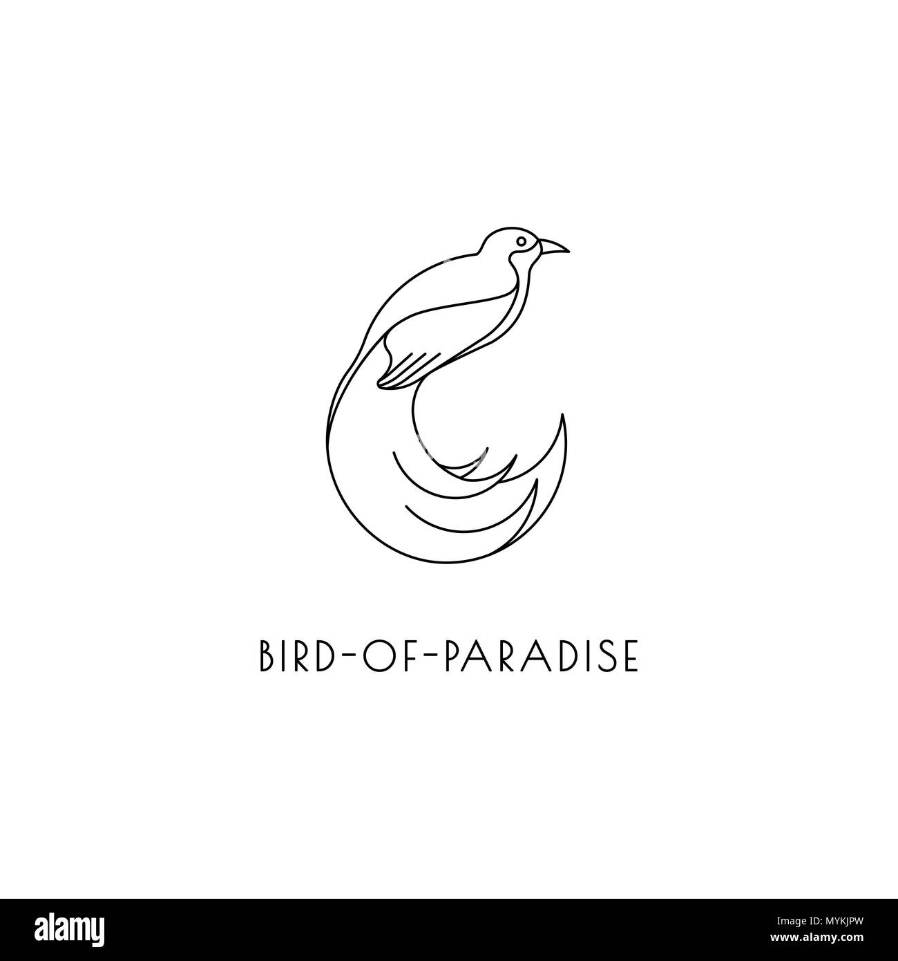 Bird of Paradise linear sign bird isolated on white. Vector logo design ...