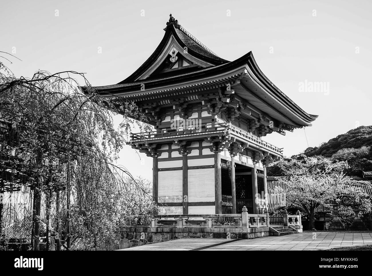 Red temple cherry blossom Black and White Stock Photos & Images - Alamy