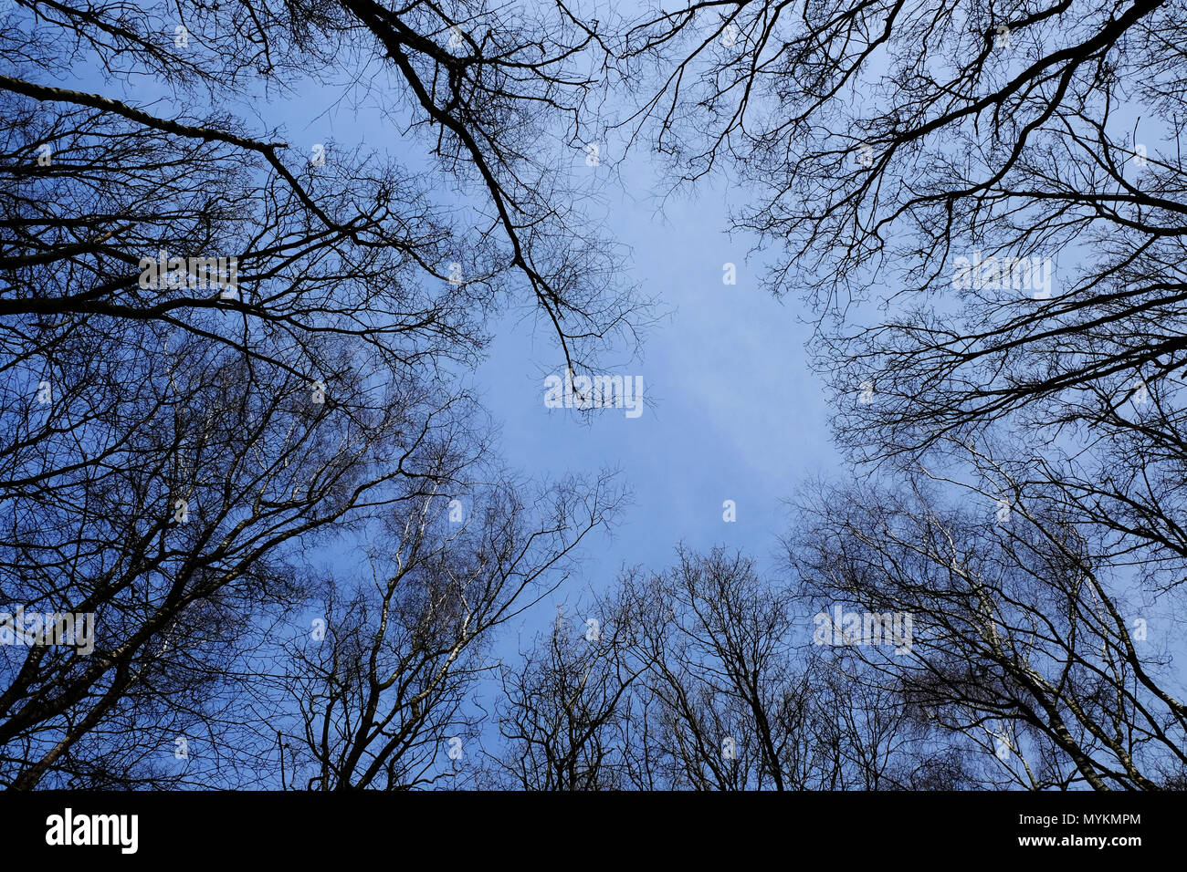 sky - nature Stock Photo - Alamy