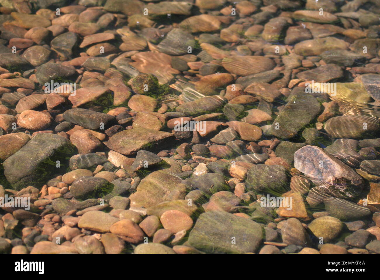 Pebbles in stream hi-res stock photography and images - Alamy