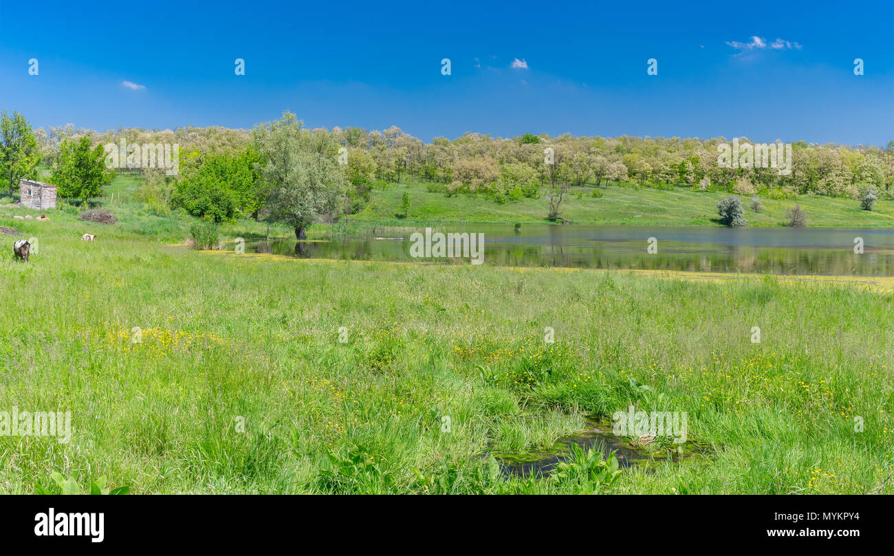 Panoramic May landscape with Suha Sura river in Vasylivka village near ...