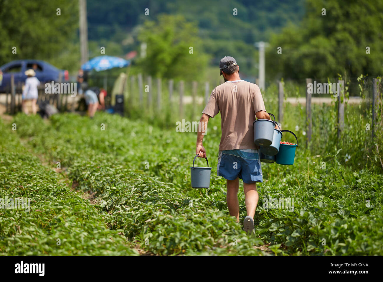 Man carrying buckets hi-res stock photography and images - Alamy