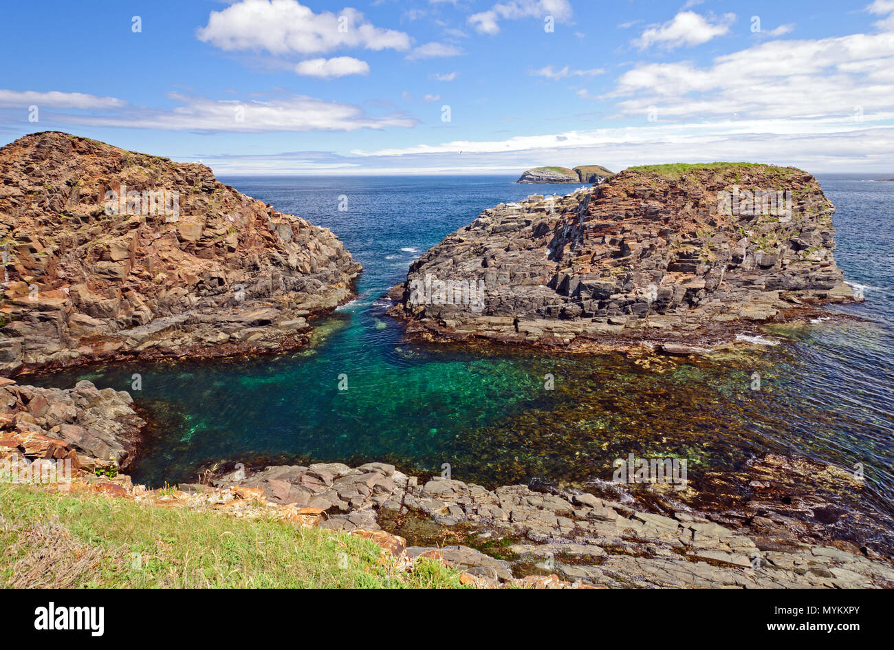 Newfoundland Rocks Stock Photos & Newfoundland Rocks Stock Images - Alamy
