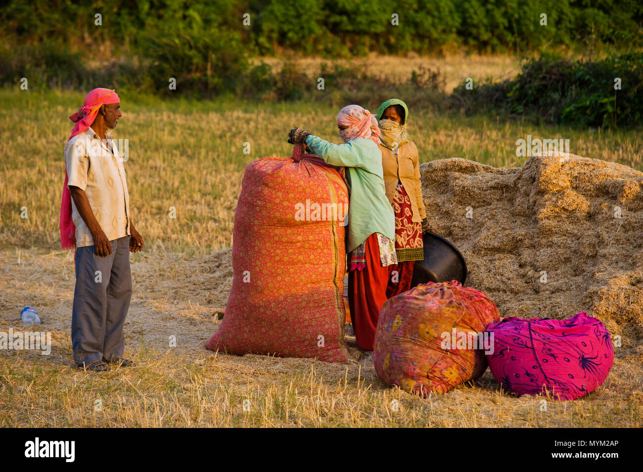 Indian village people hi-res stock photography and images - Alamy
