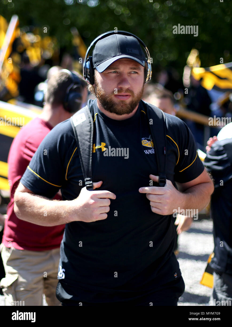 Wasp's Matt Mullen Stock Photo - Alamy