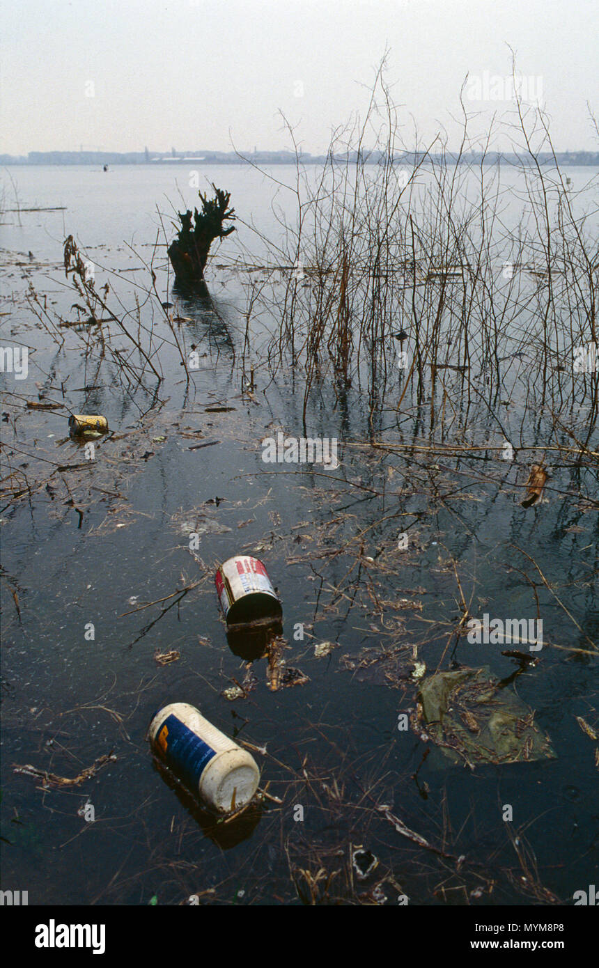 Mantova, Italy, water pollution of the lake of Mantova Stock Photo - Alamy