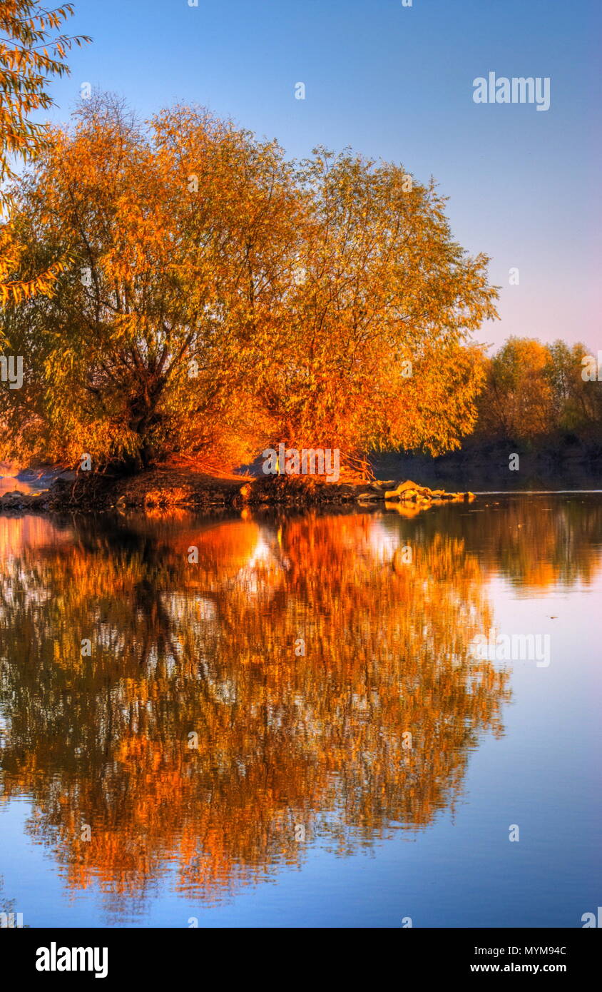 Small island on river with trees and reflection Stock Photo - Alamy