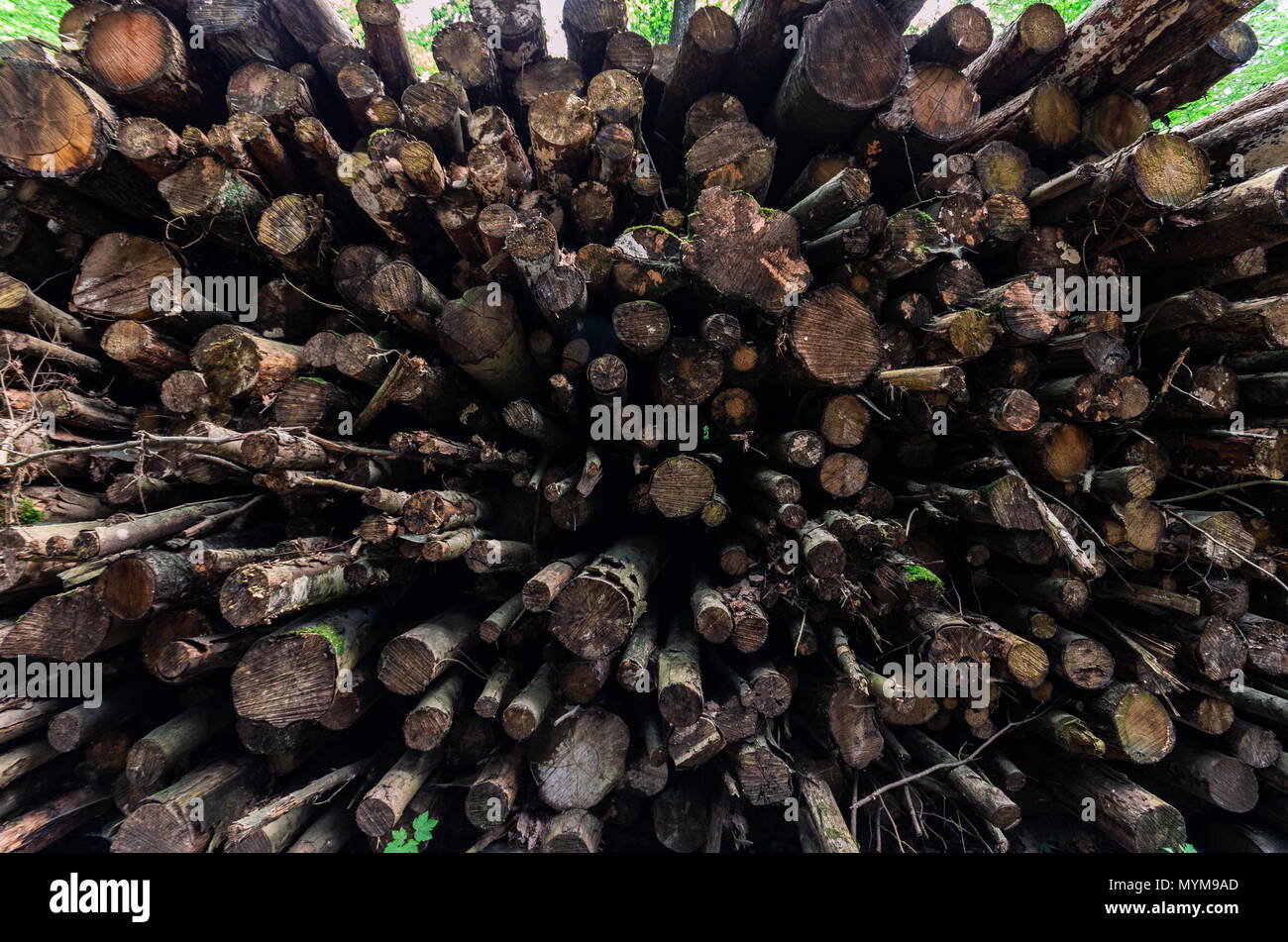 Harvest logs hi-res stock photography and images - Alamy