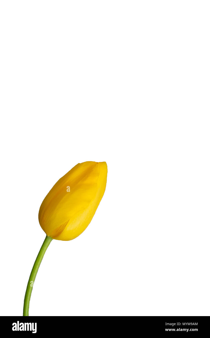 Beauty nature romantic view Cut Out Stock Images & Pictures - Alamy