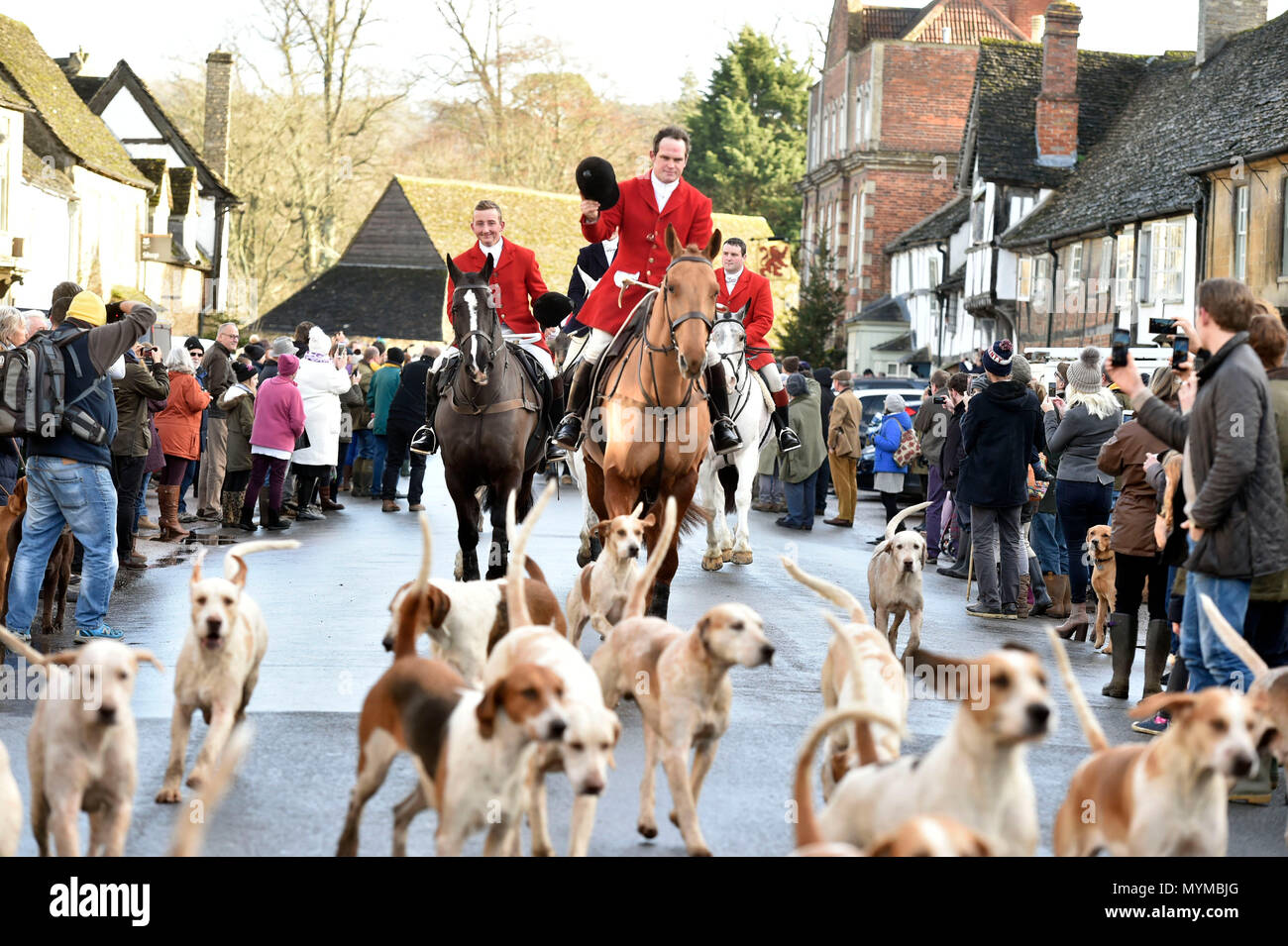 English Hound Hunting Rural Tradition High Resolution Stock Photography ...