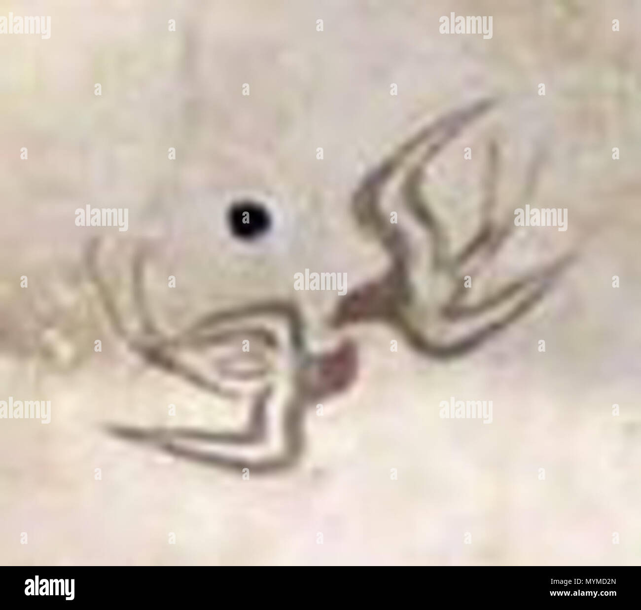 Spring fresco akrotiri hi-res stock photography and images - Alamy