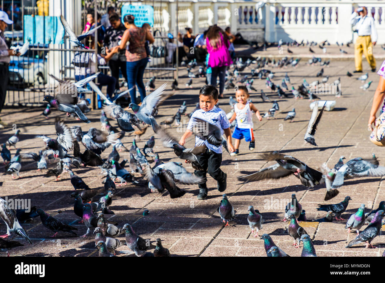 Cathedral of our lady of santa ana hi-res stock photography and images ...