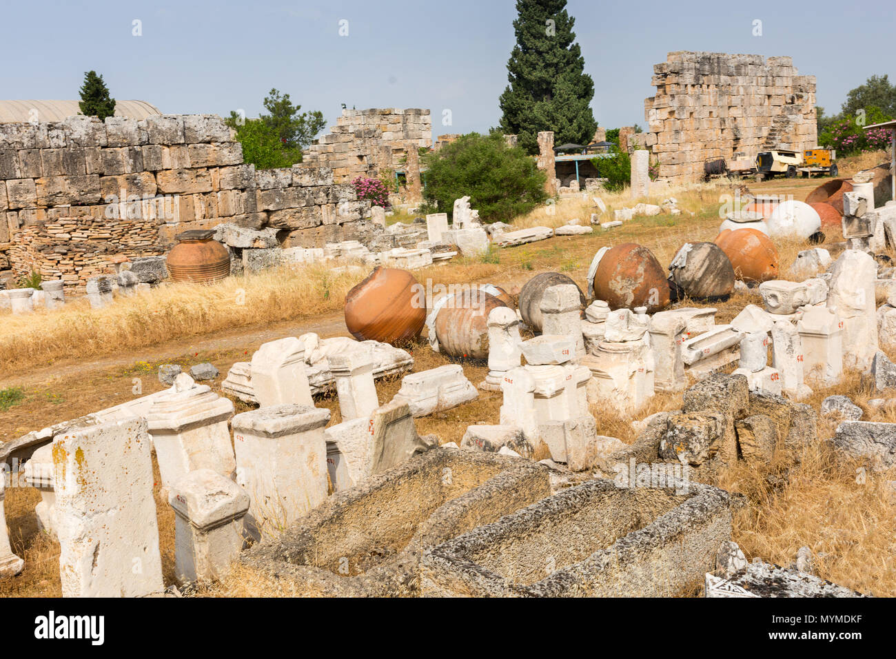 Ancient Greek architectural artefacts and vessels neatly laid out on ...