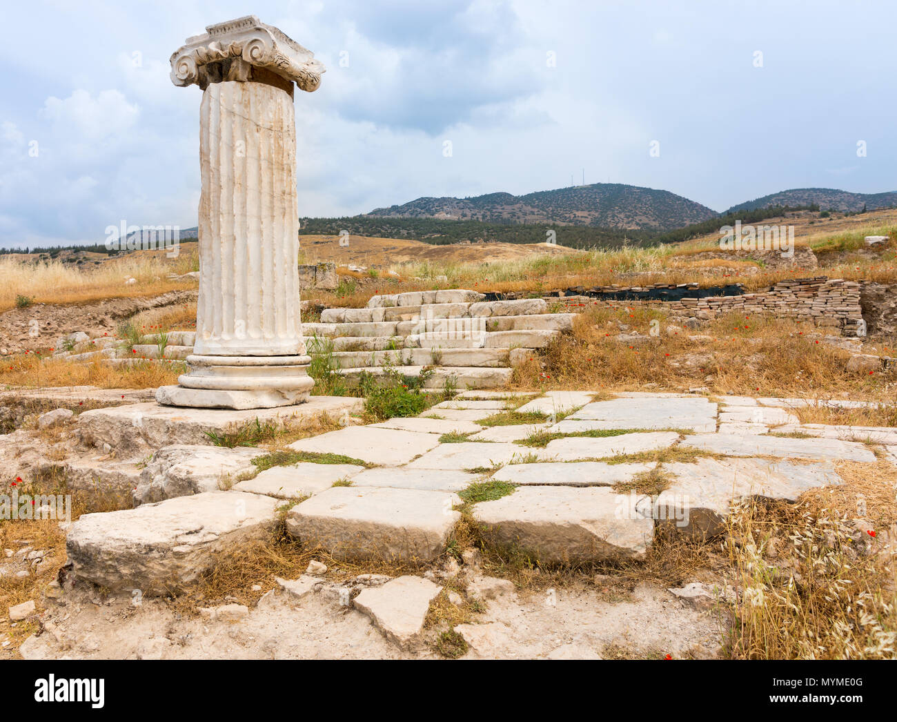 Ancient ruined classical Doric column and flagstones in rural Greek ...