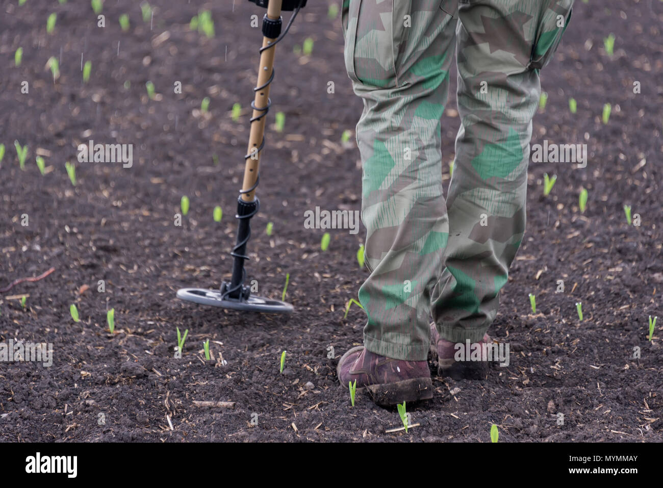 Cartoon old man treasure hi-res stock photography and images - Alamy