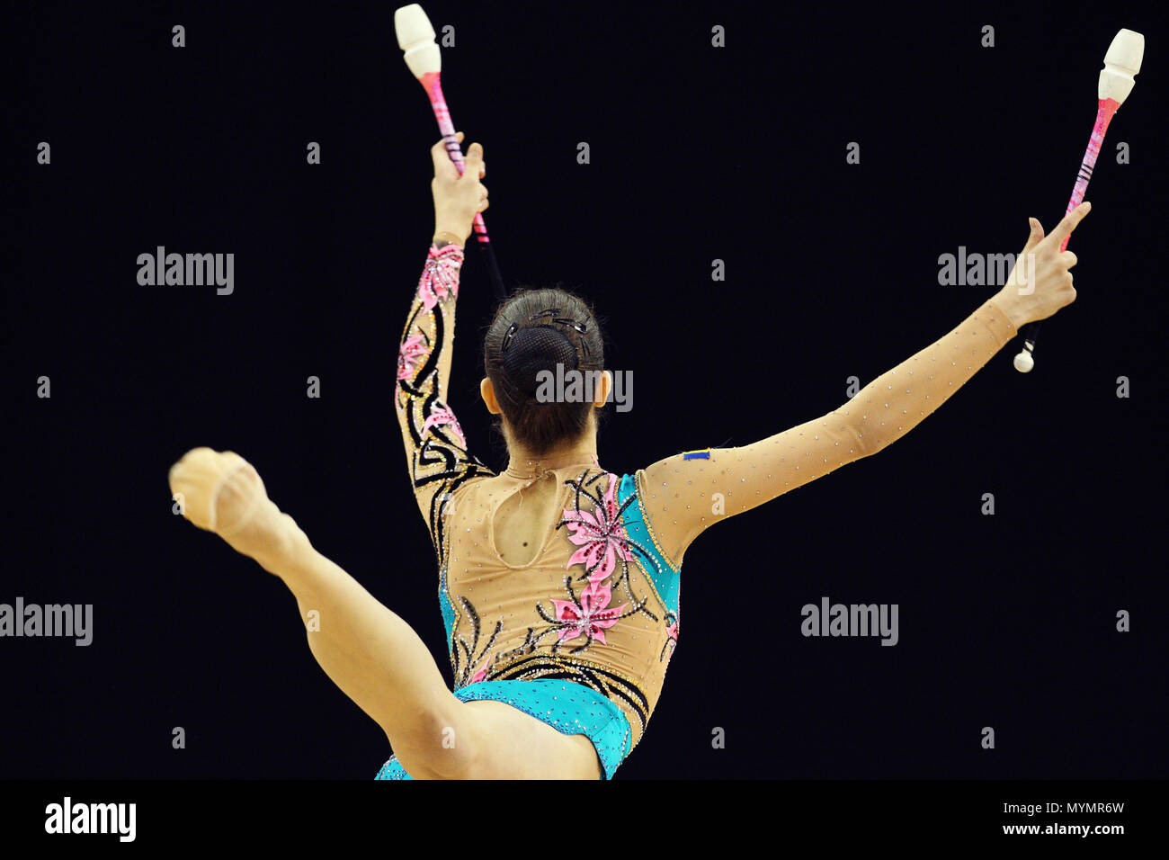 Visa Federation of International Gymnastics (FIG) - Alexandra ...