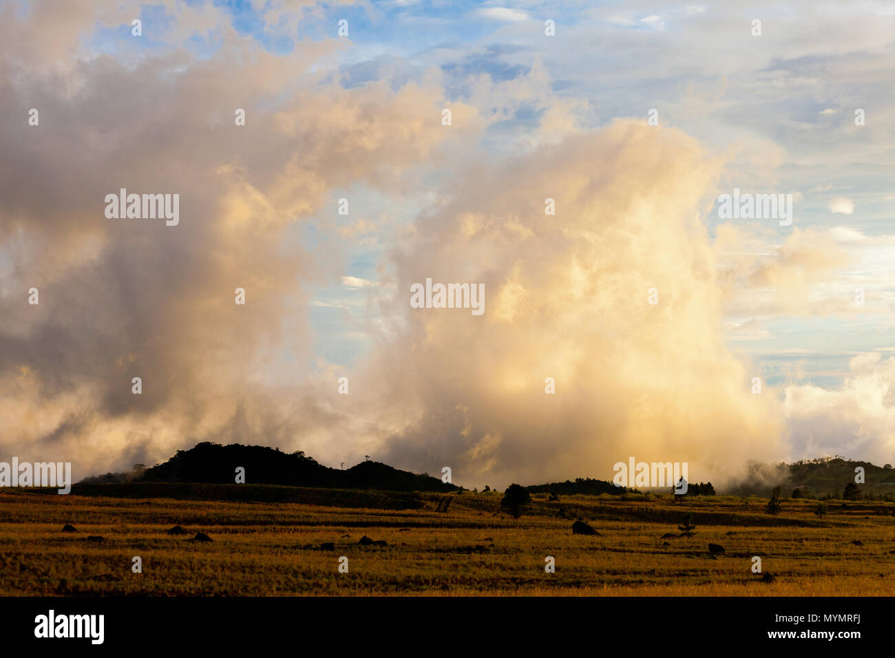 Evening mist at the border of Volcan Baru national park, near the town ...