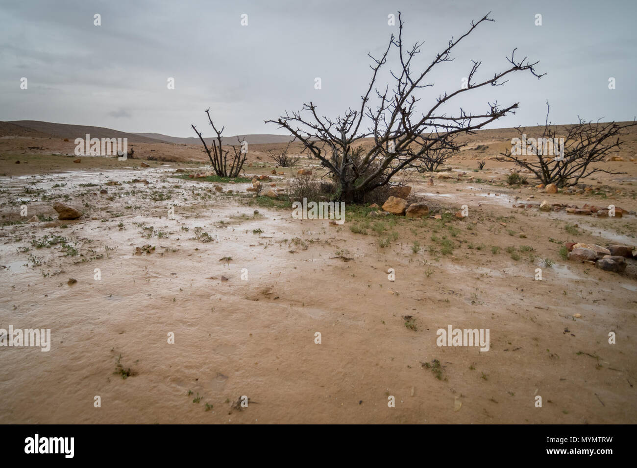 Winter Desert Landscape In Southern Israel Stock Photo - Alamy
