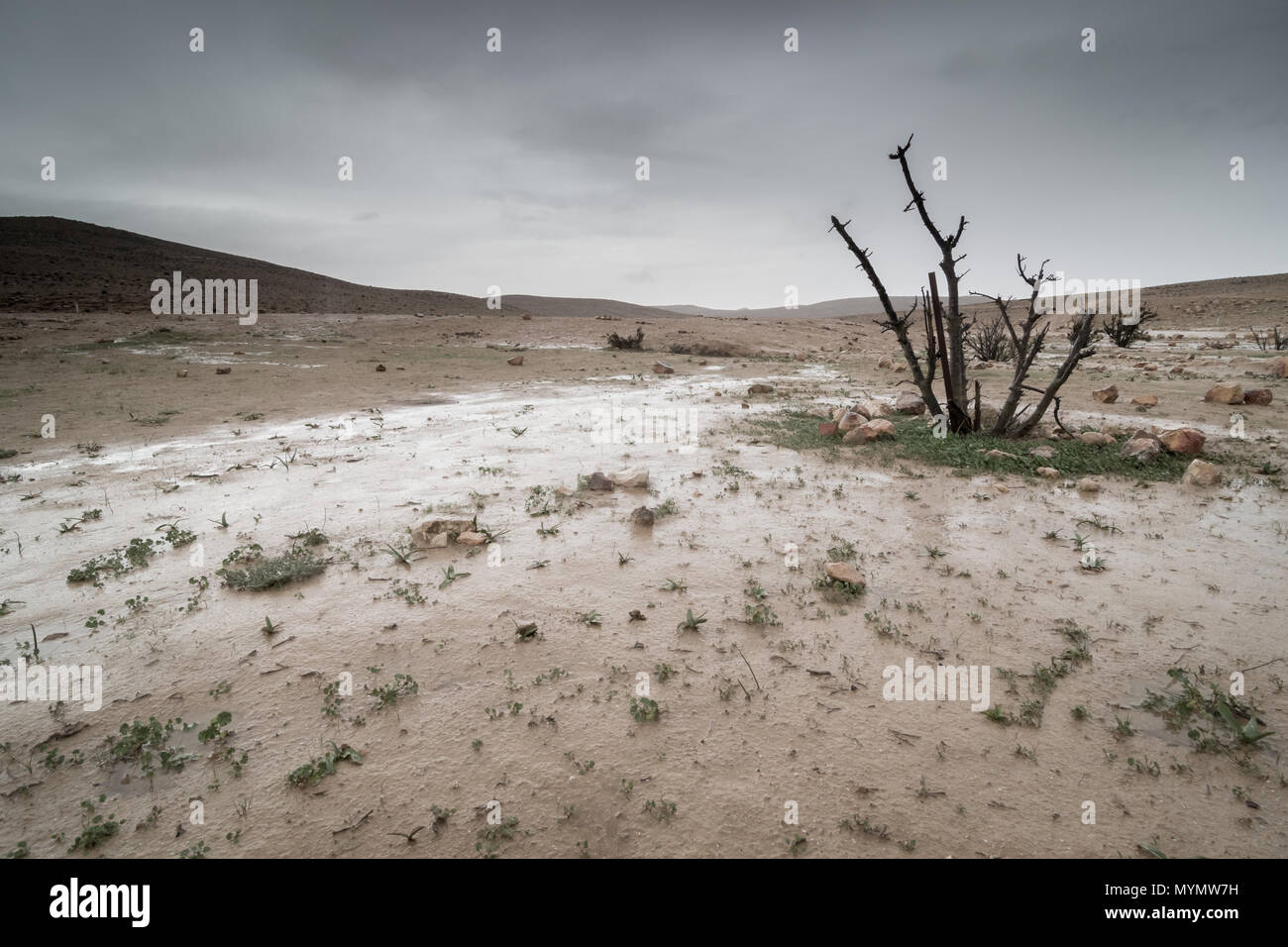 Winter Desert Landscape In Southern Israel Stock Photo - Alamy