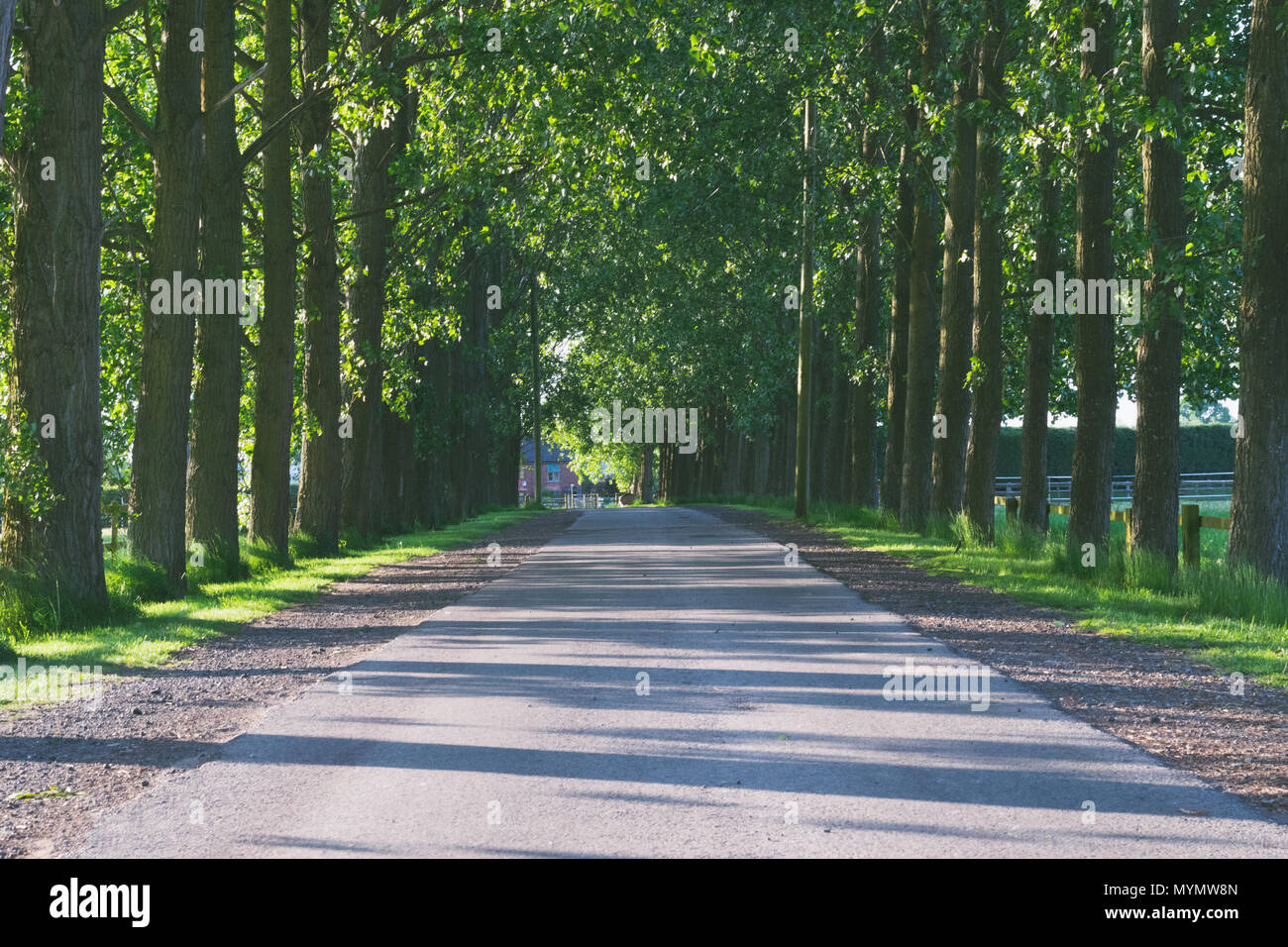 Single point perspective hi-res stock photography and images - Alamy