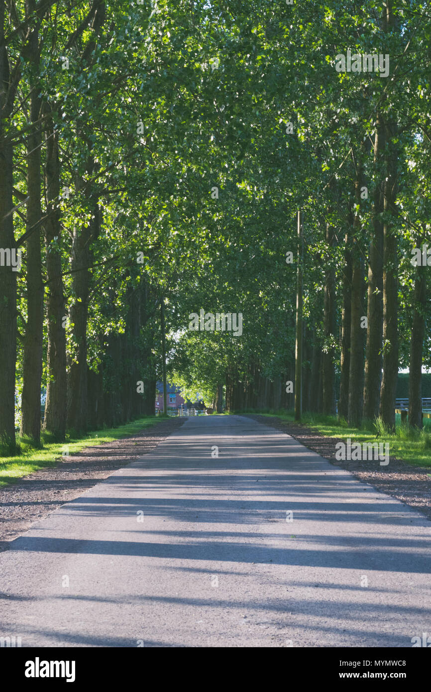 Single point perspective hi-res stock photography and images - Alamy