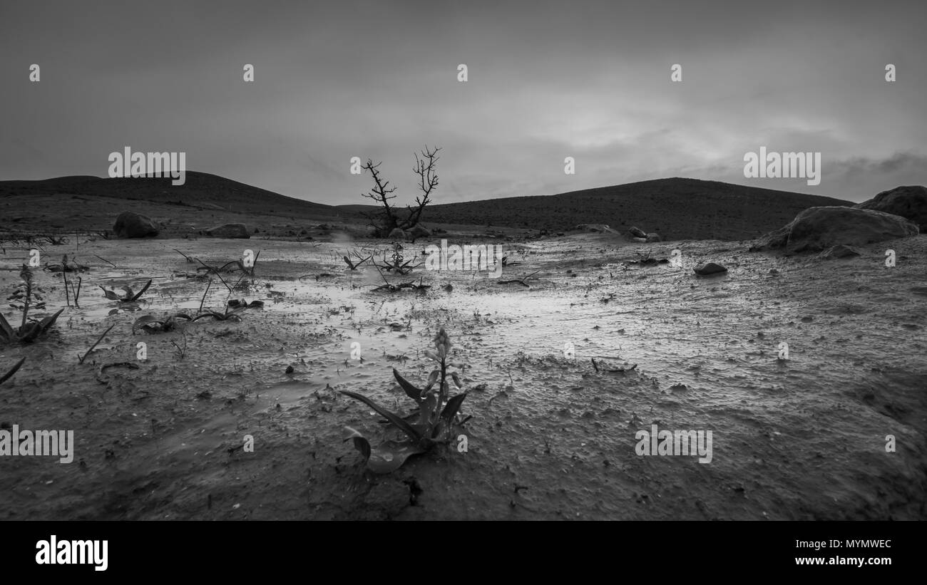 View mountain landscape in desert Black and White Stock Photos & Images ...