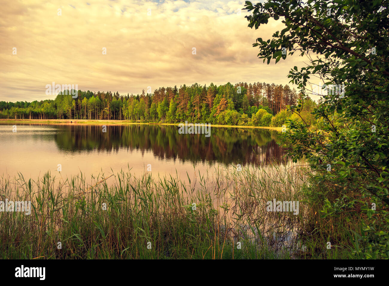 Dawn on the lake. Landscape with forest and lake Stock Photo - Alamy
