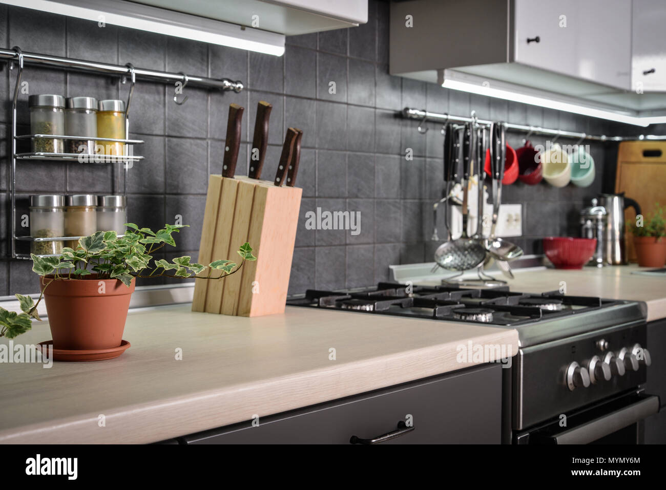 A fragment of the modern style kitchen with rail system and kitchen ...