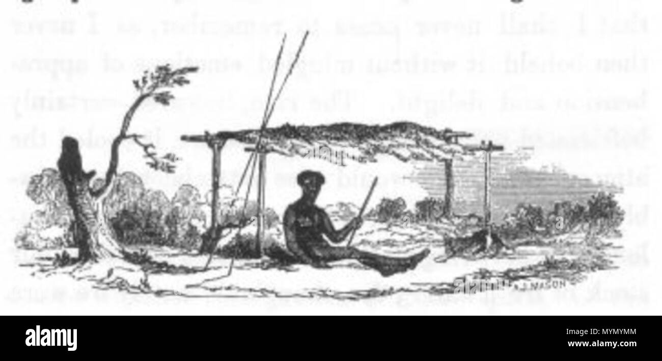 In natural native habitat Cut Out Stock Images & Pictures - Alamy