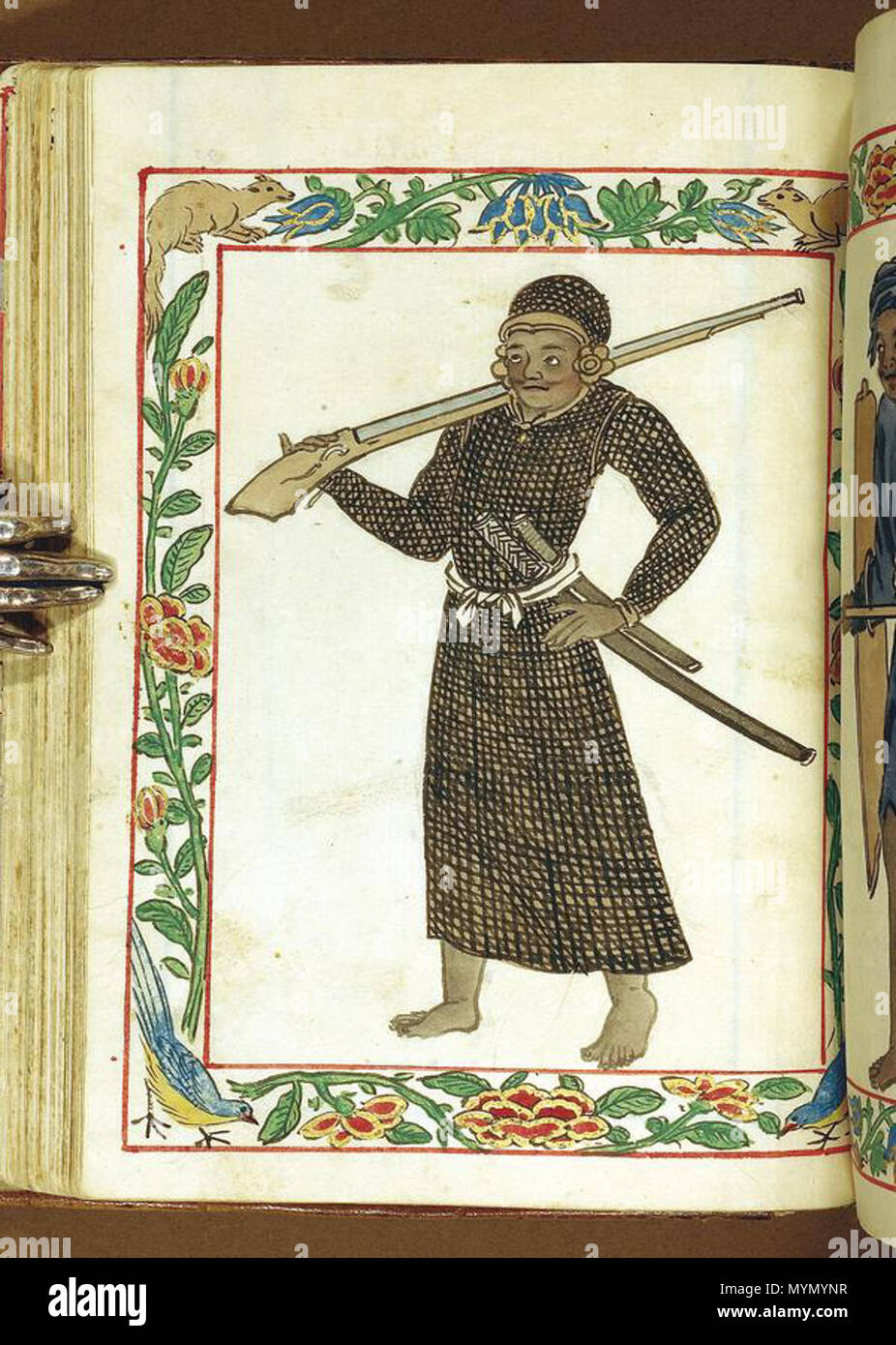 Boxer codex High Resolution Stock Photography and Images - Alamy