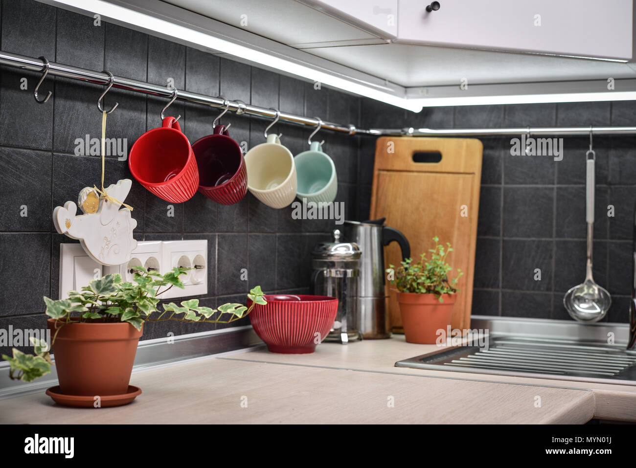 A fragment of the modern style kitchen with rail system and tea cups ...