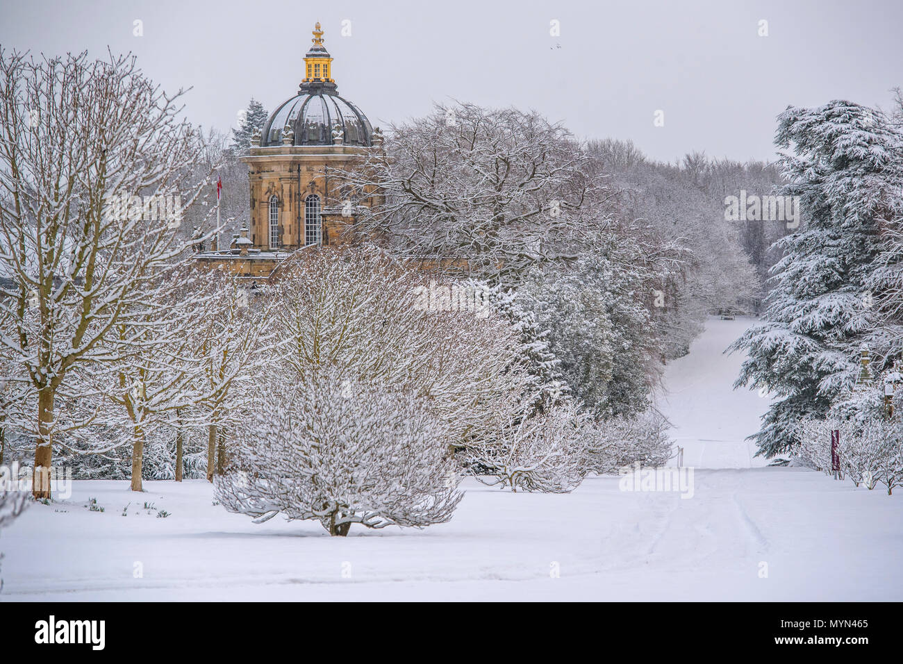 Snow trees yorkshire hi-res stock photography and images - Alamy