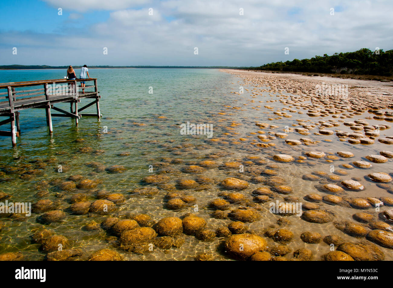 Thrombolites australia hi-res stock photography and images - Alamy