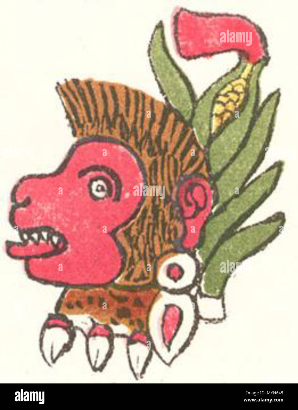 . The Aztec day sign ozomatli (monkey). 16th century. Unknown 403 ...
