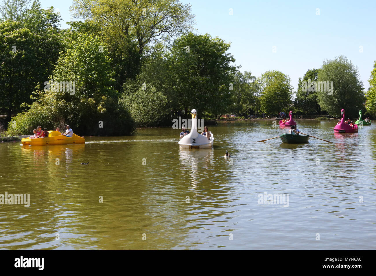 Boating lake at alexandra palace hi-res stock photography and images ...
