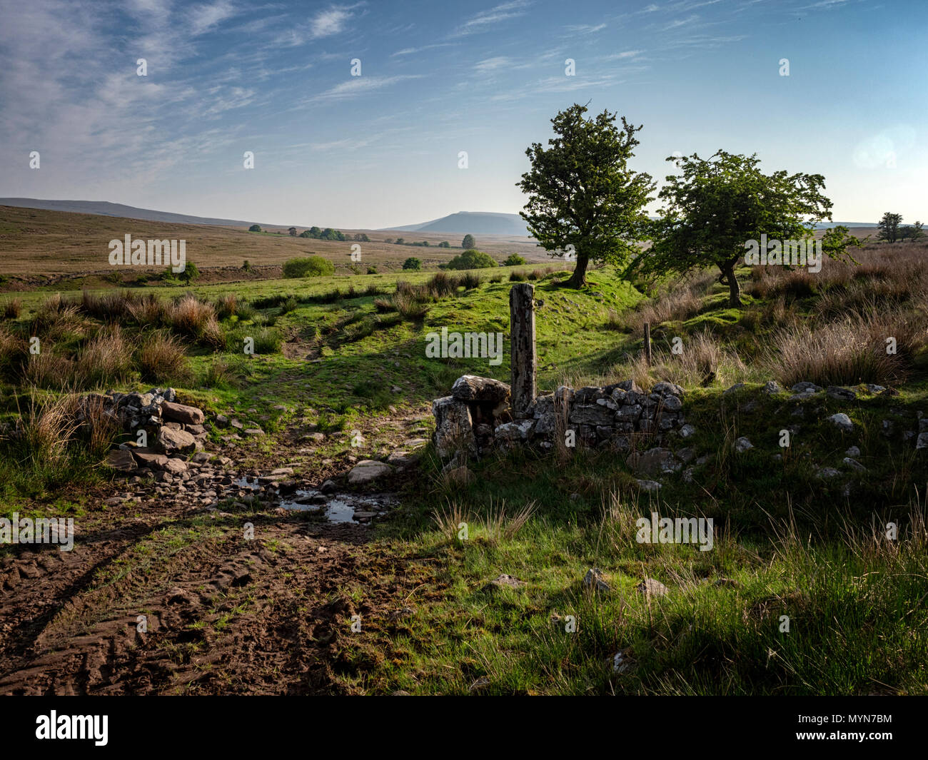 Brecon Beacons National Park, Wales, towards Pen y Fan, at 886 metres ...