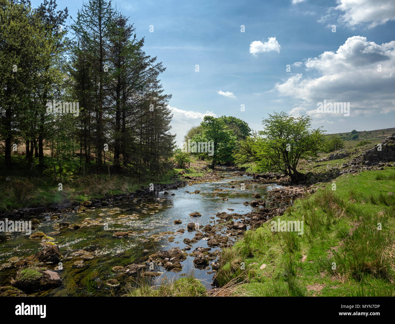 The river Hepste (Afon Hepste) at Tir-yr-onen, near Penderyn, Brecon ...