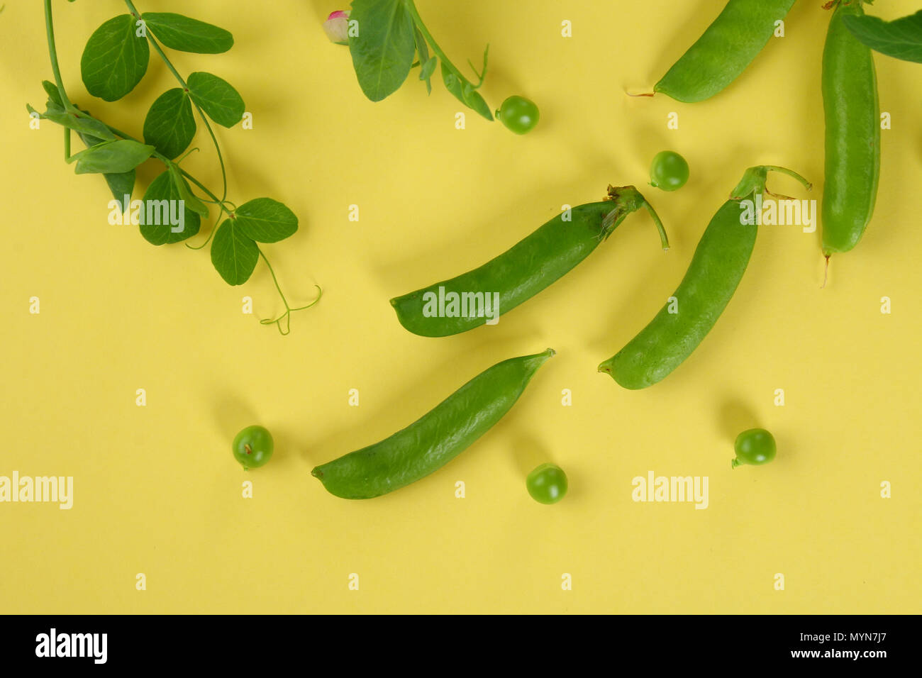 Peas, pods, leaves and pea flowers on a light pastel background. Floral ...