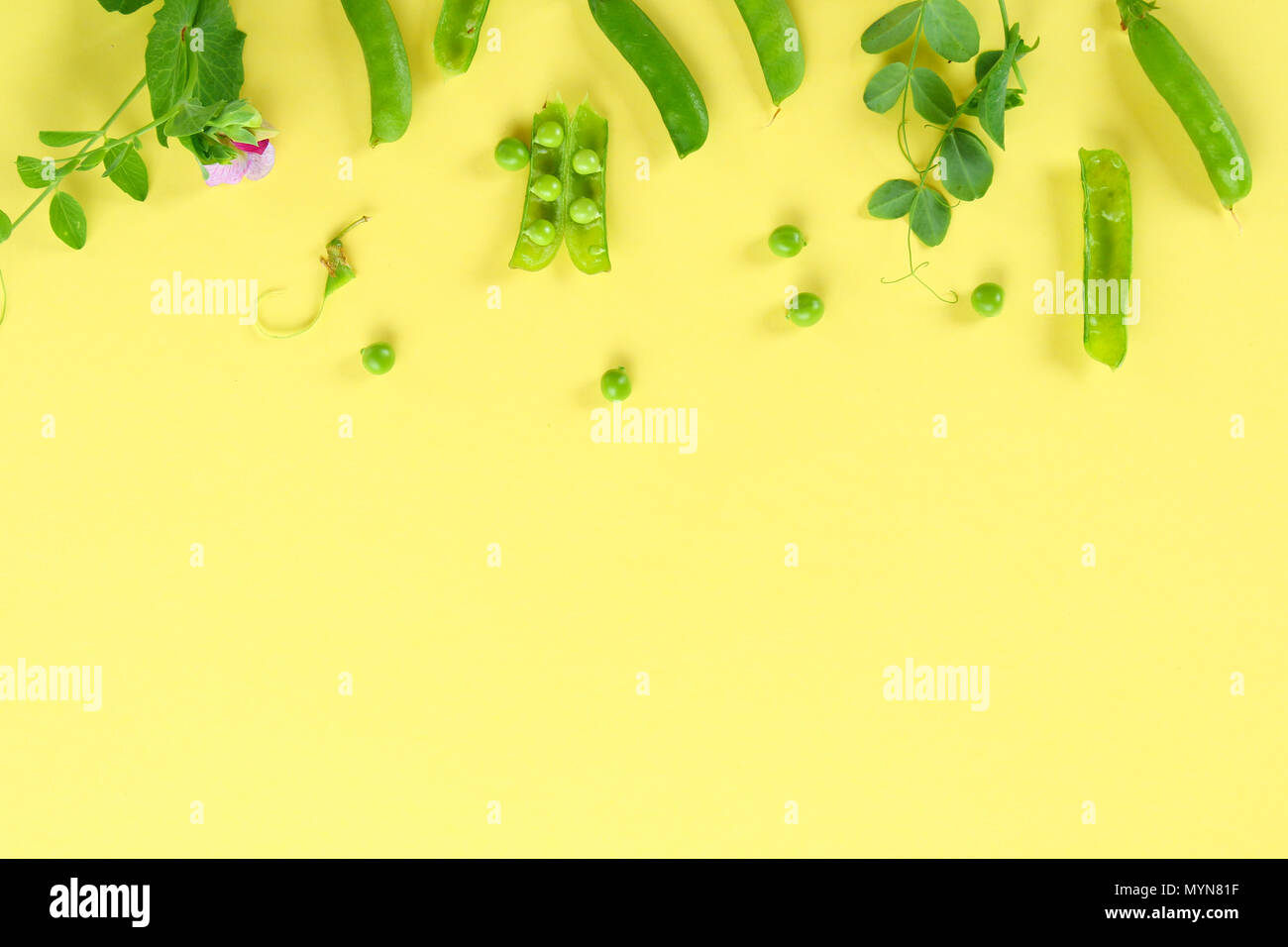 Peas, pods, leaves and pea flowers on a light pastel background. Floral ...