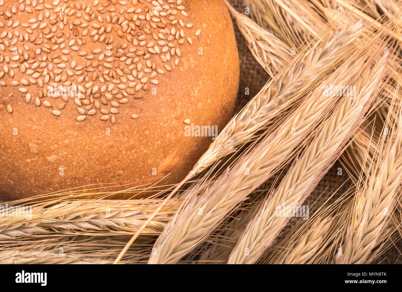 The fluffy bun with sesame seeds and spikelets of wheat closeup Stock ...