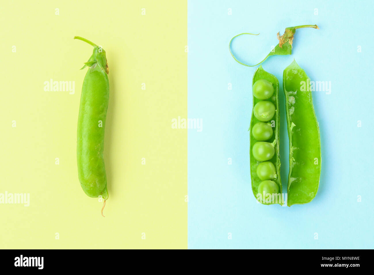 Peas, pods, leaves and pea flowers on a light pastel background. Floral ...