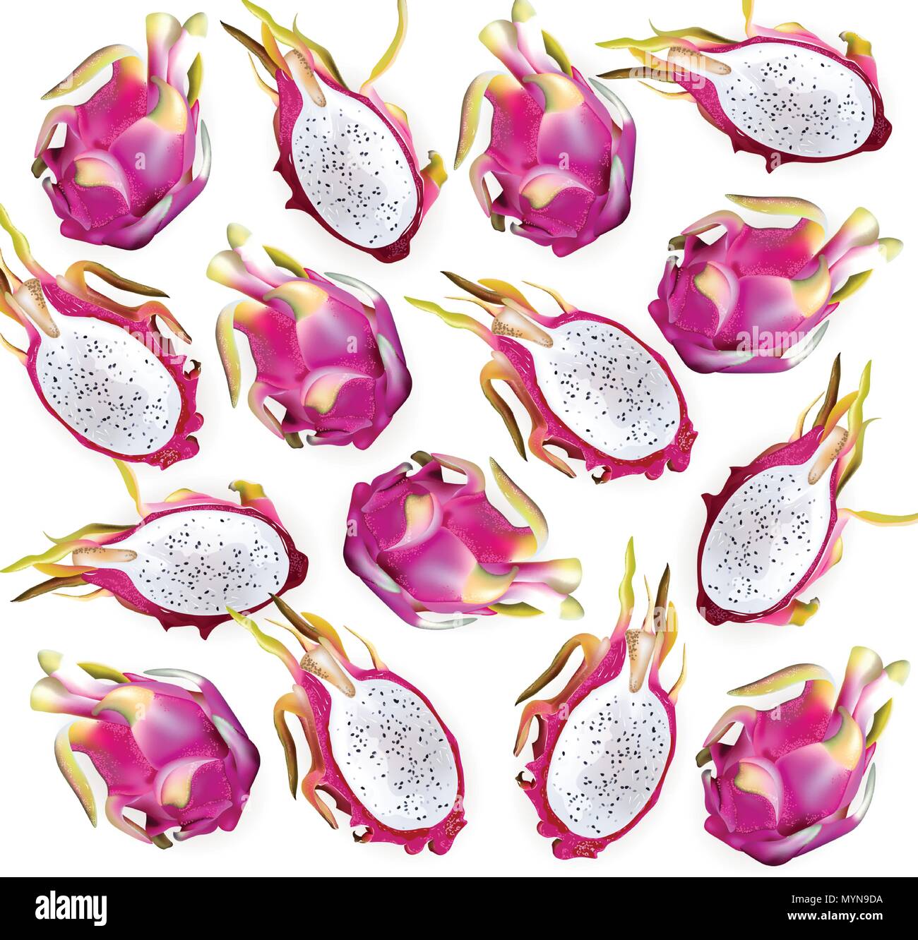 Dragon fruit pattern Vector. Delicious exotic tropical fruits detailed ...