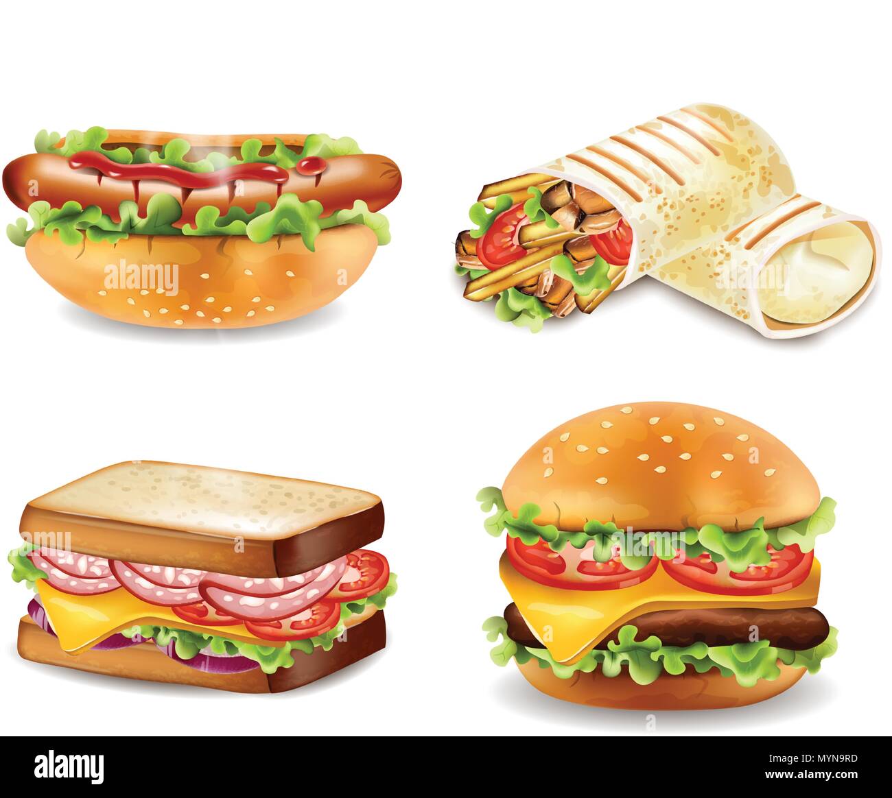 Burger, sandwich, hot dog and wrap Vector isolated. Realistic set ...