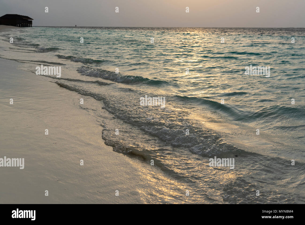 Nice pearl color of sea at Maldives Stock Photo - Alamy
