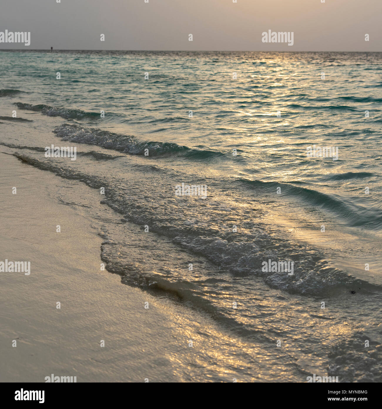 Nice pearl color of sea at Maldives Stock Photo - Alamy