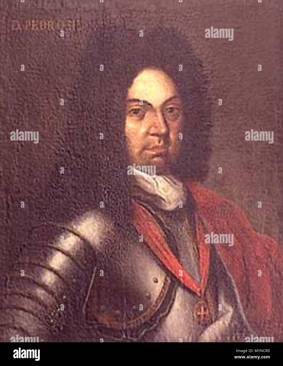 Peter ii of bourbon hi-res stock photography and images - Alamy